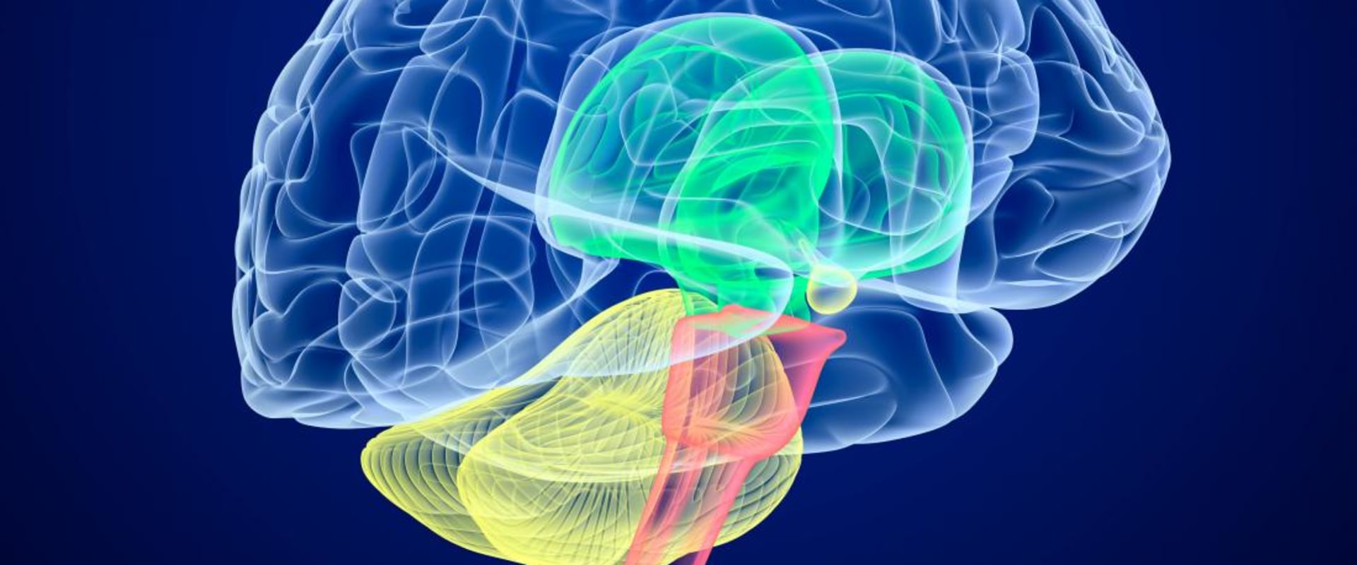 Understanding the Different Types of Cerebral Palsy: A Comprehensive Guide